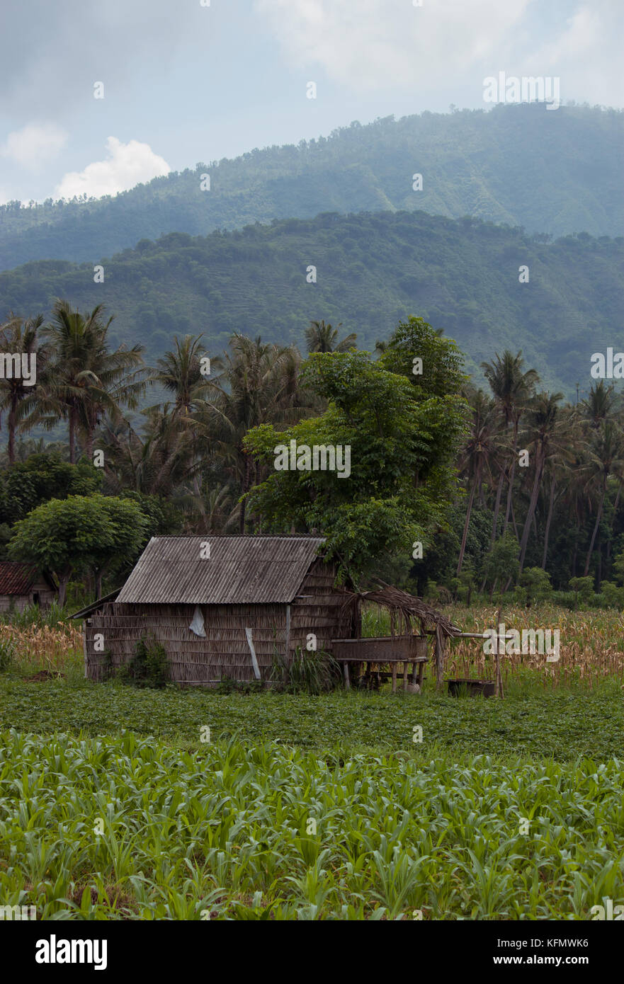 Scenic view with wood hut, field and mountains Stock Photo - Alamy