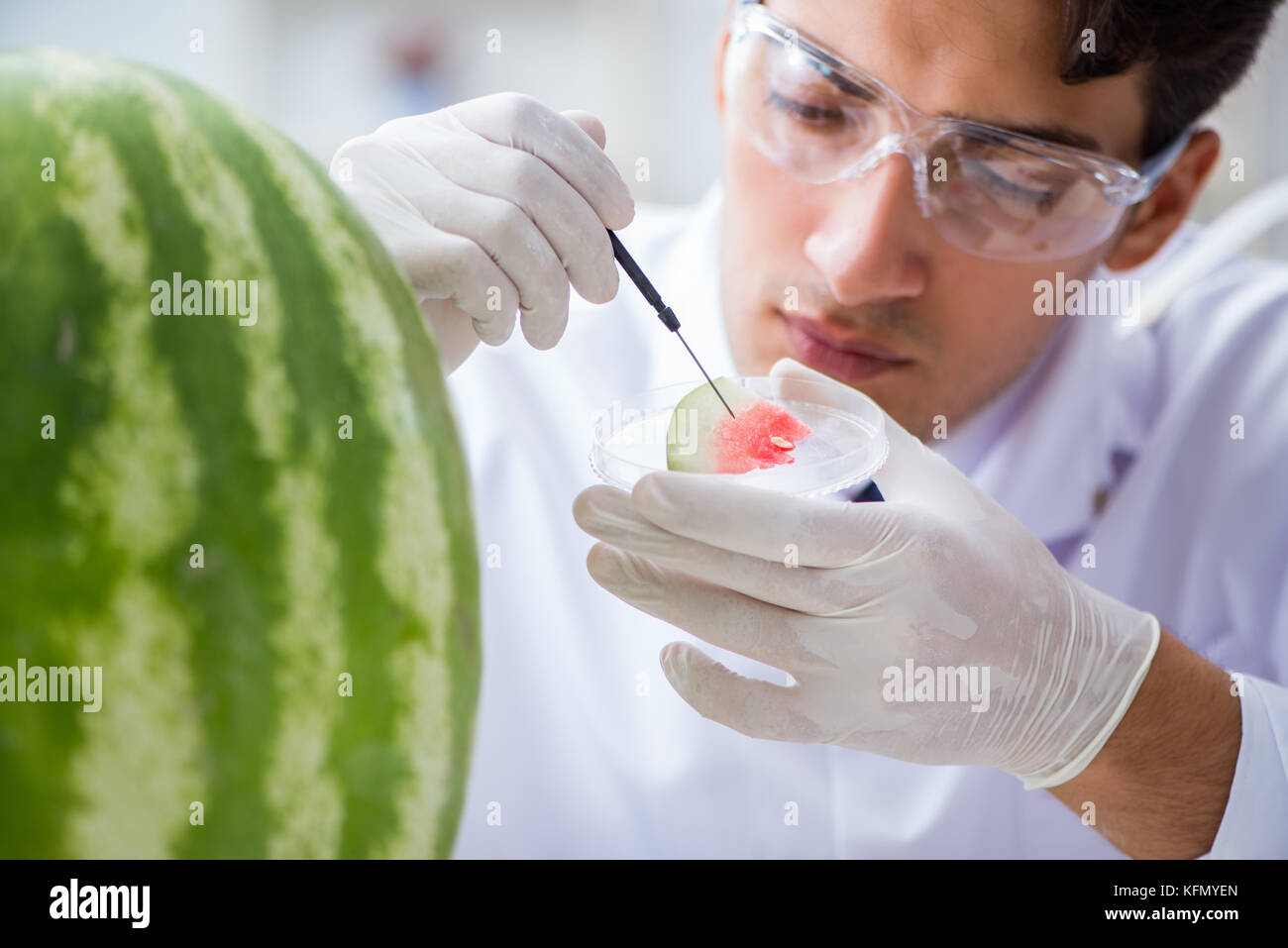 Scientist testing watermelon in lab Stock Photo - Alamy