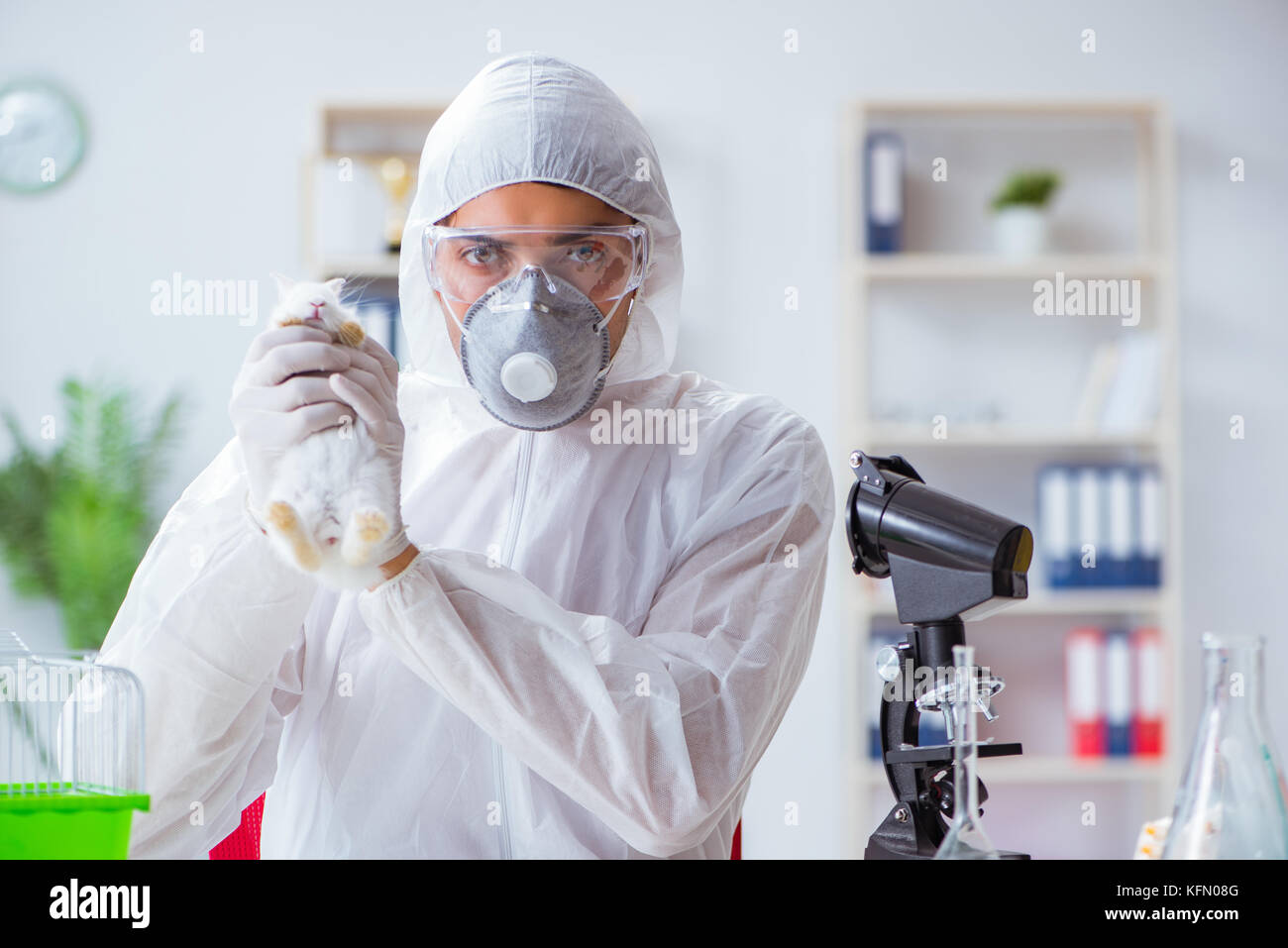 Scientist doing animal experiment in lab with rabbit Stock Photo - Alamy