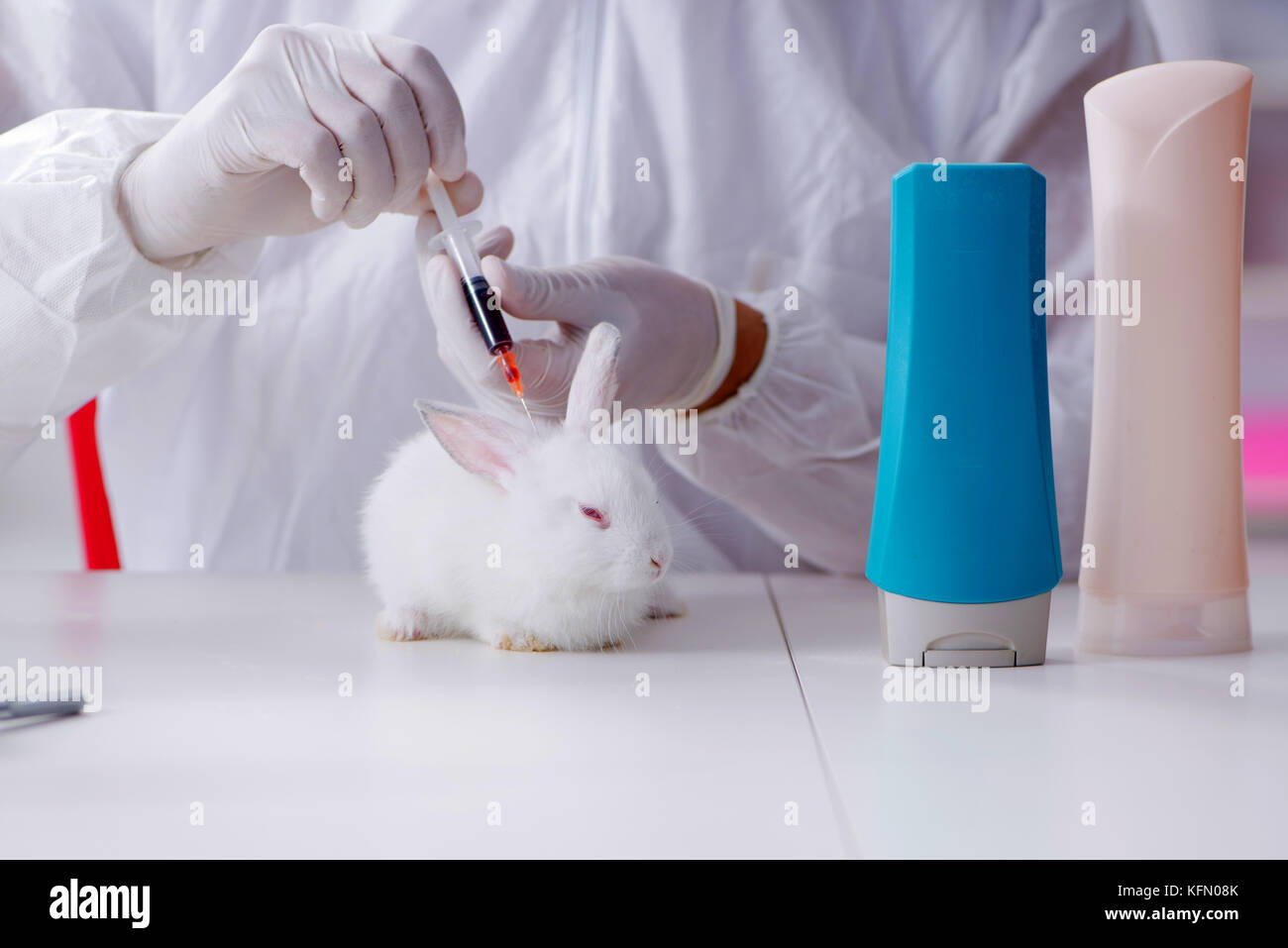 White rabbit in scientific lab experiment Stock Photo - Alamy