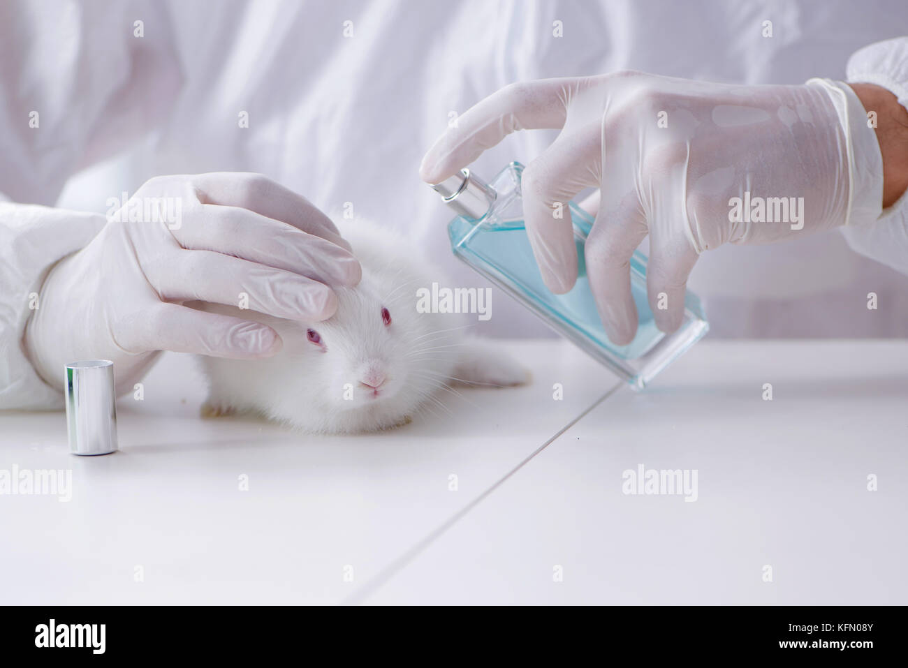 White rabbit in scientific lab experiment Stock Photo - Alamy