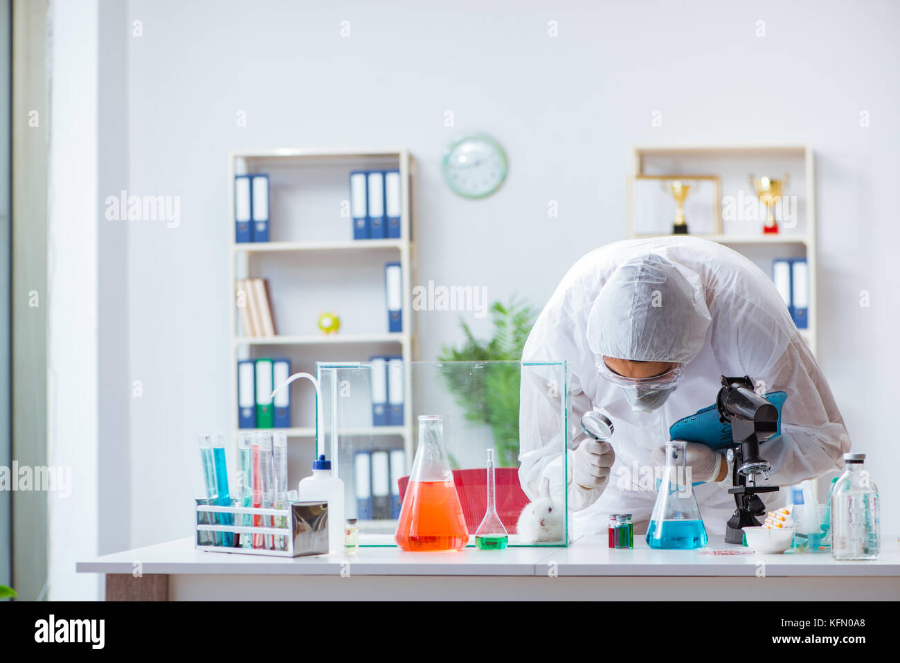 Scientist doing animal experiment in lab with rabbit Stock Photo - Alamy