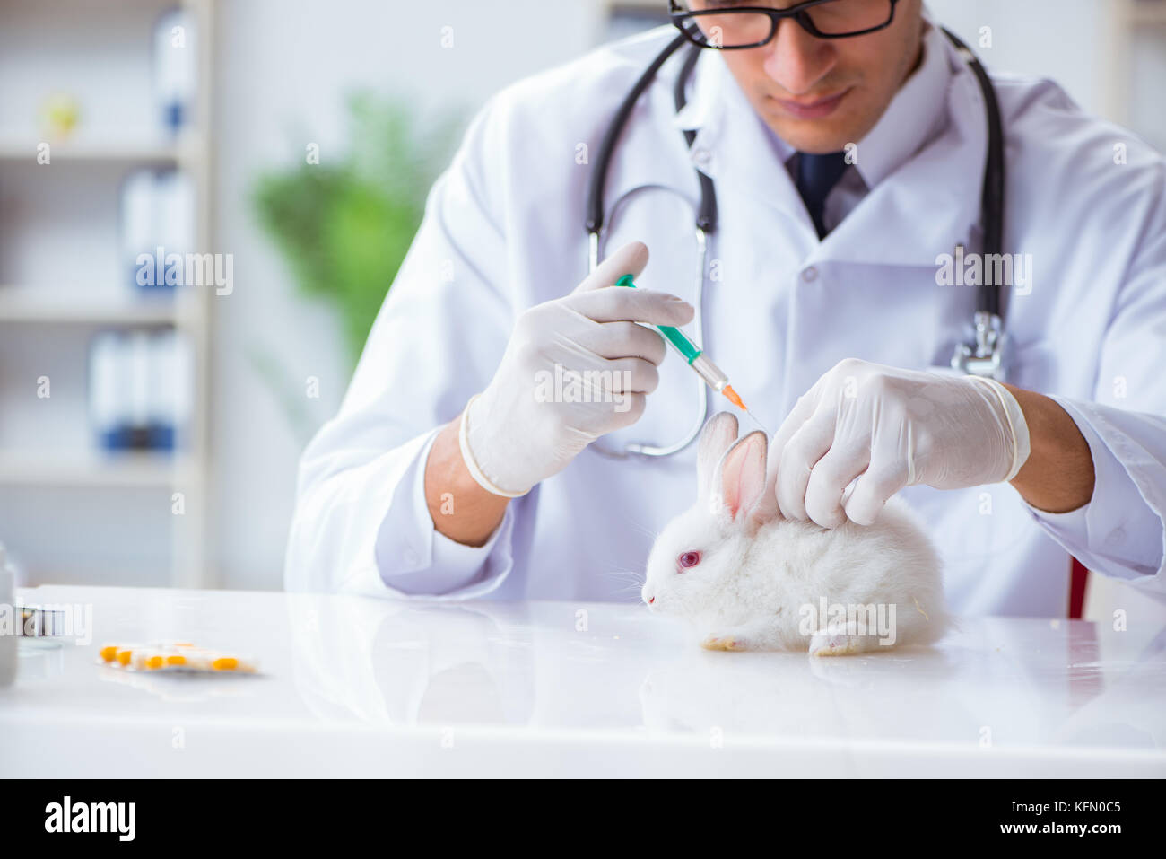 Vet doctor examining rabbit in pet hospital Stock Photo - Alamy