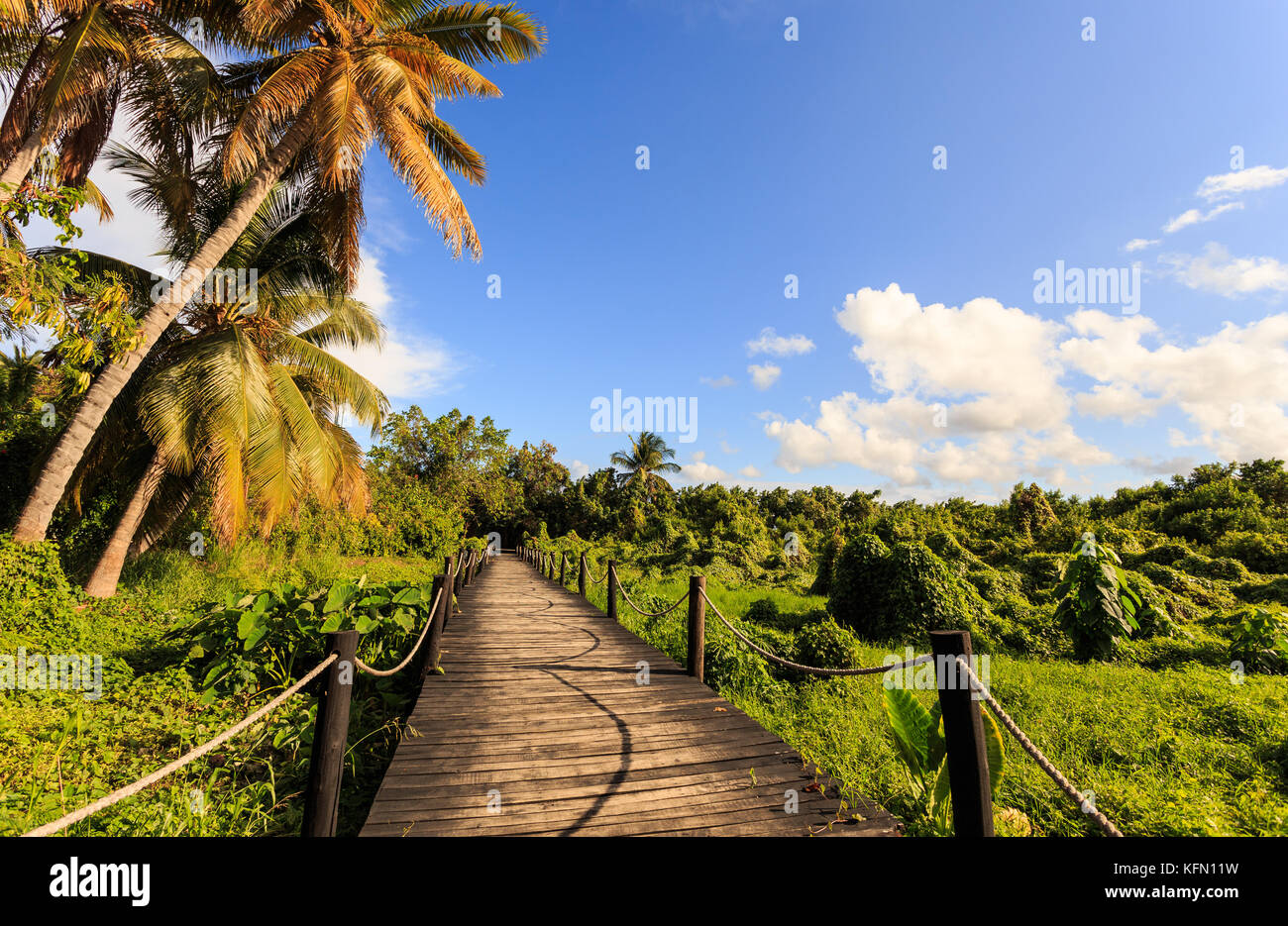 Punta cana republica dominicana caribe hi-res stock photography and ...