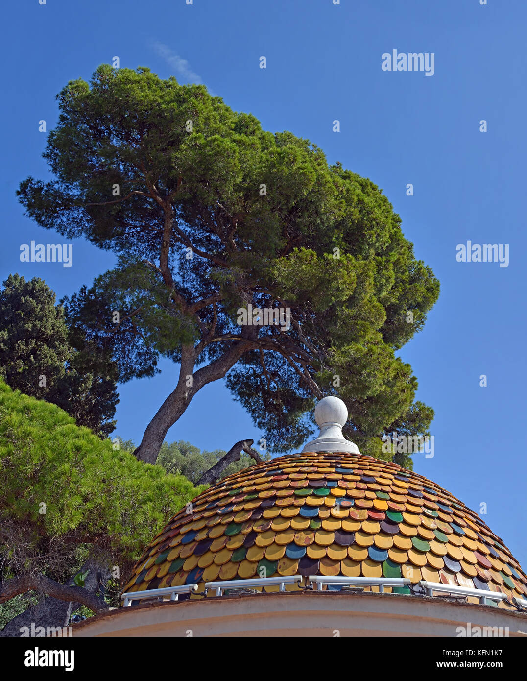 Pine Trees & Old Architecture on Building above the city of Nice ...