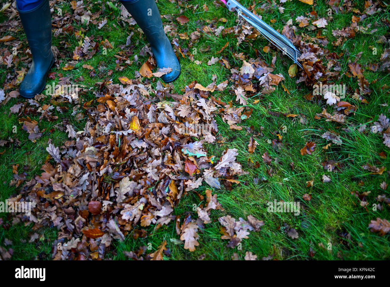 Sweep gardening hi-res stock photography and images - Alamy