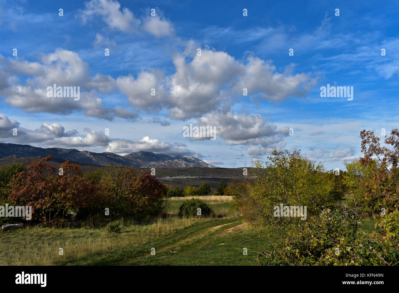 Panoramic view on uncultivated farmland landscape Stock Photo - Alamy