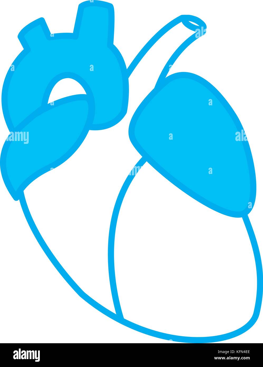 Human heart symbol Stock Vector Image & Art - Alamy