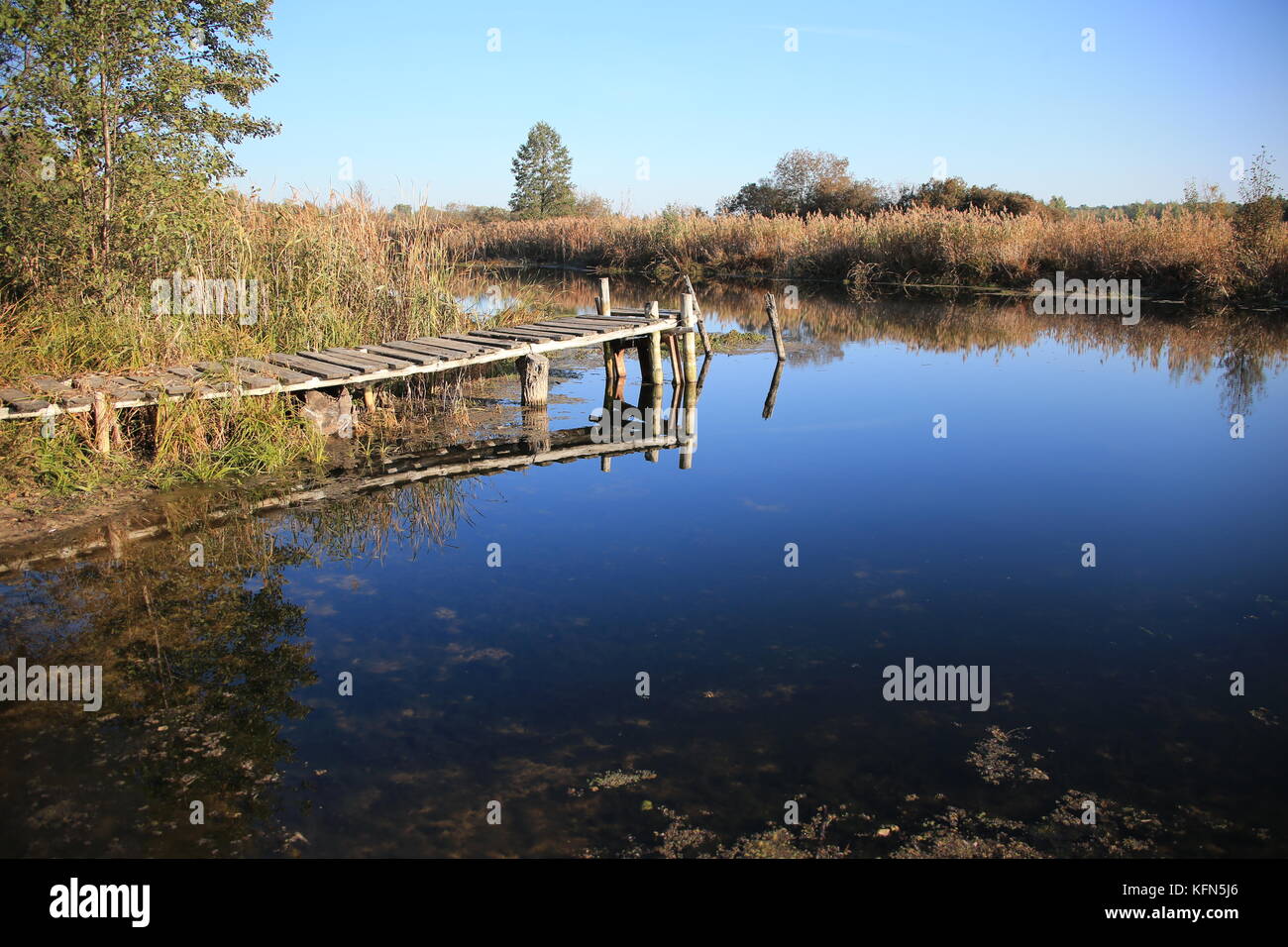 Old wooden bridge on a small river. Rural landscape.landscape rivulet ...