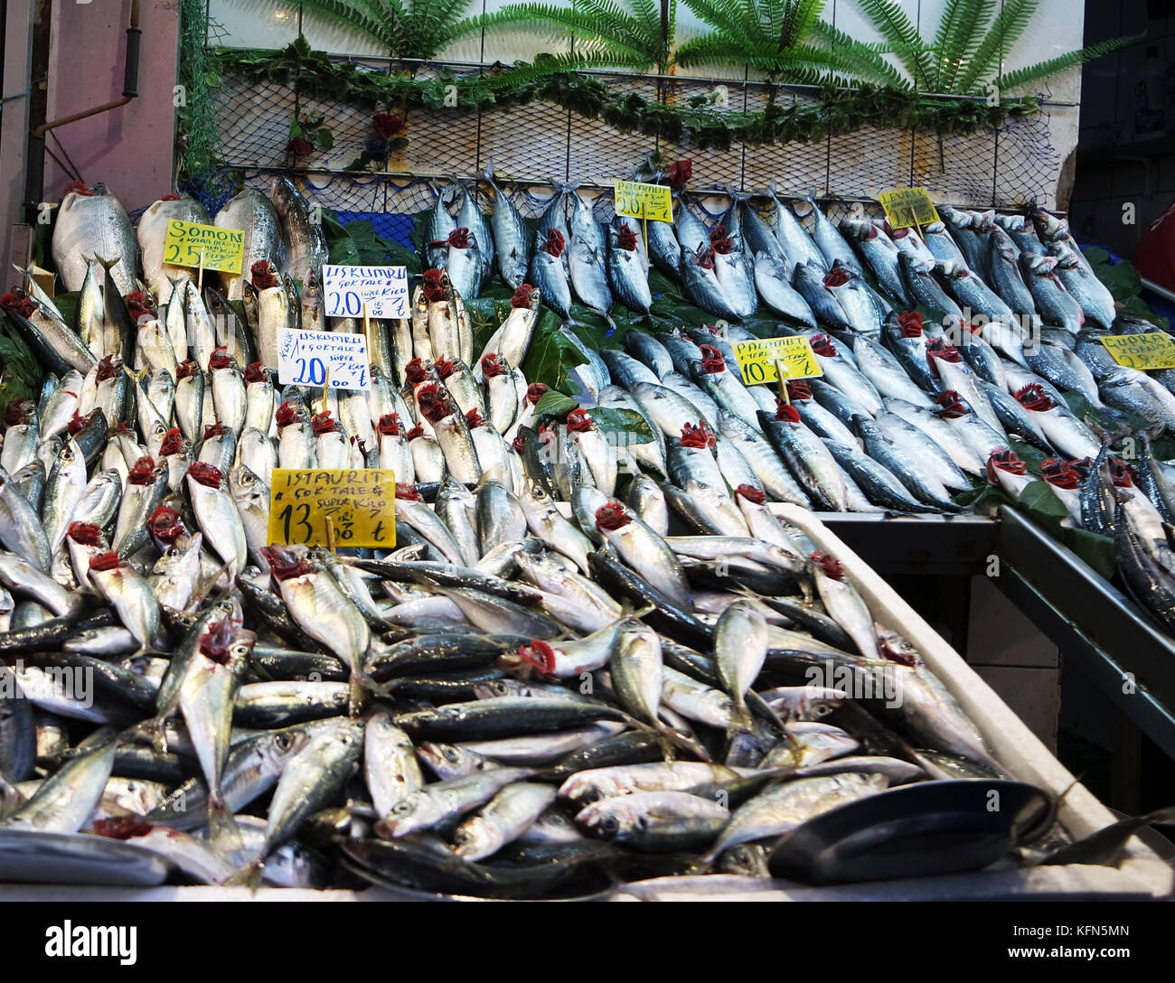 Chow shop hi-res stock photography and images - Alamy