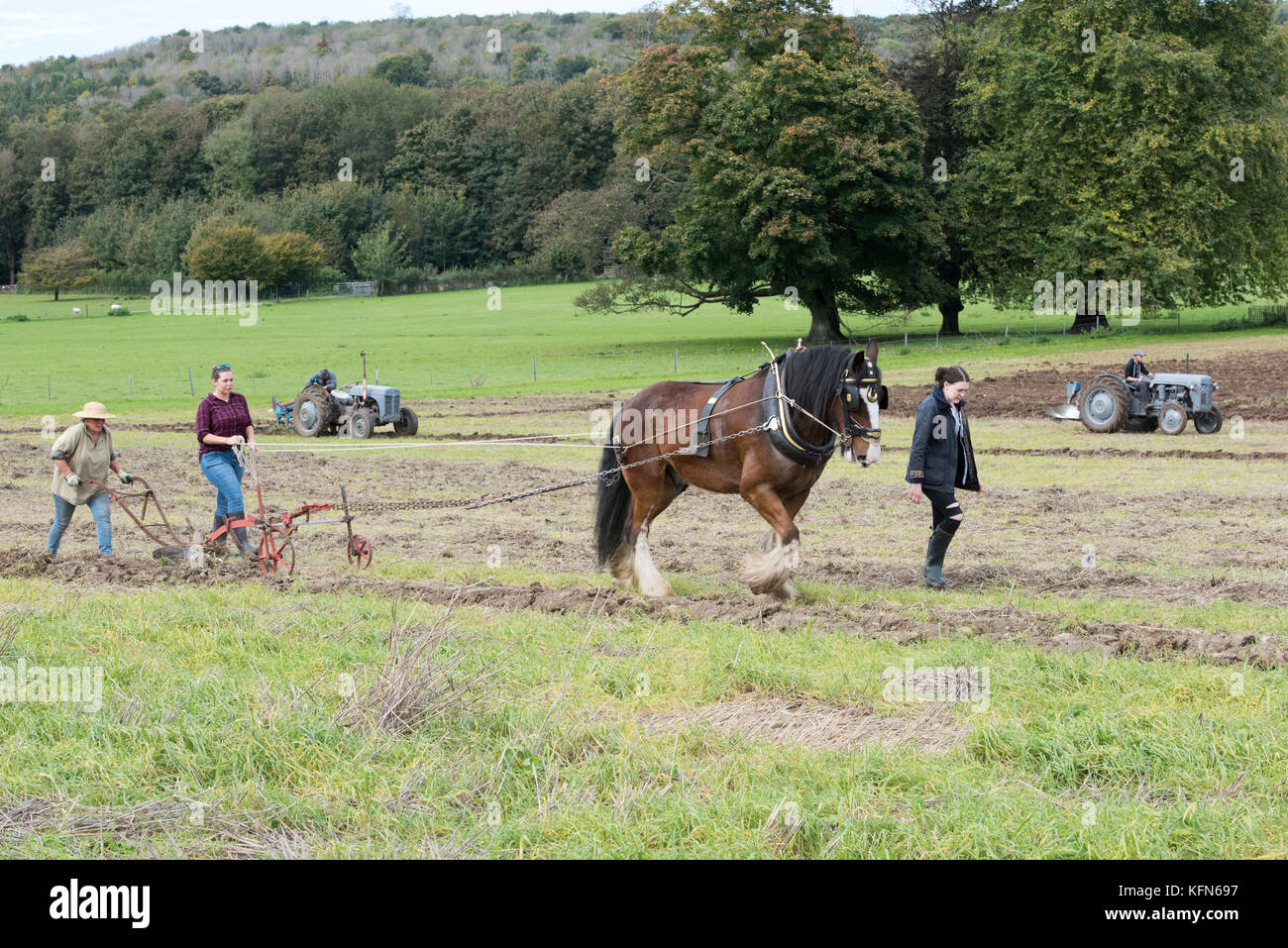 Horse drawn plough hi-res stock photography and images - Alamy