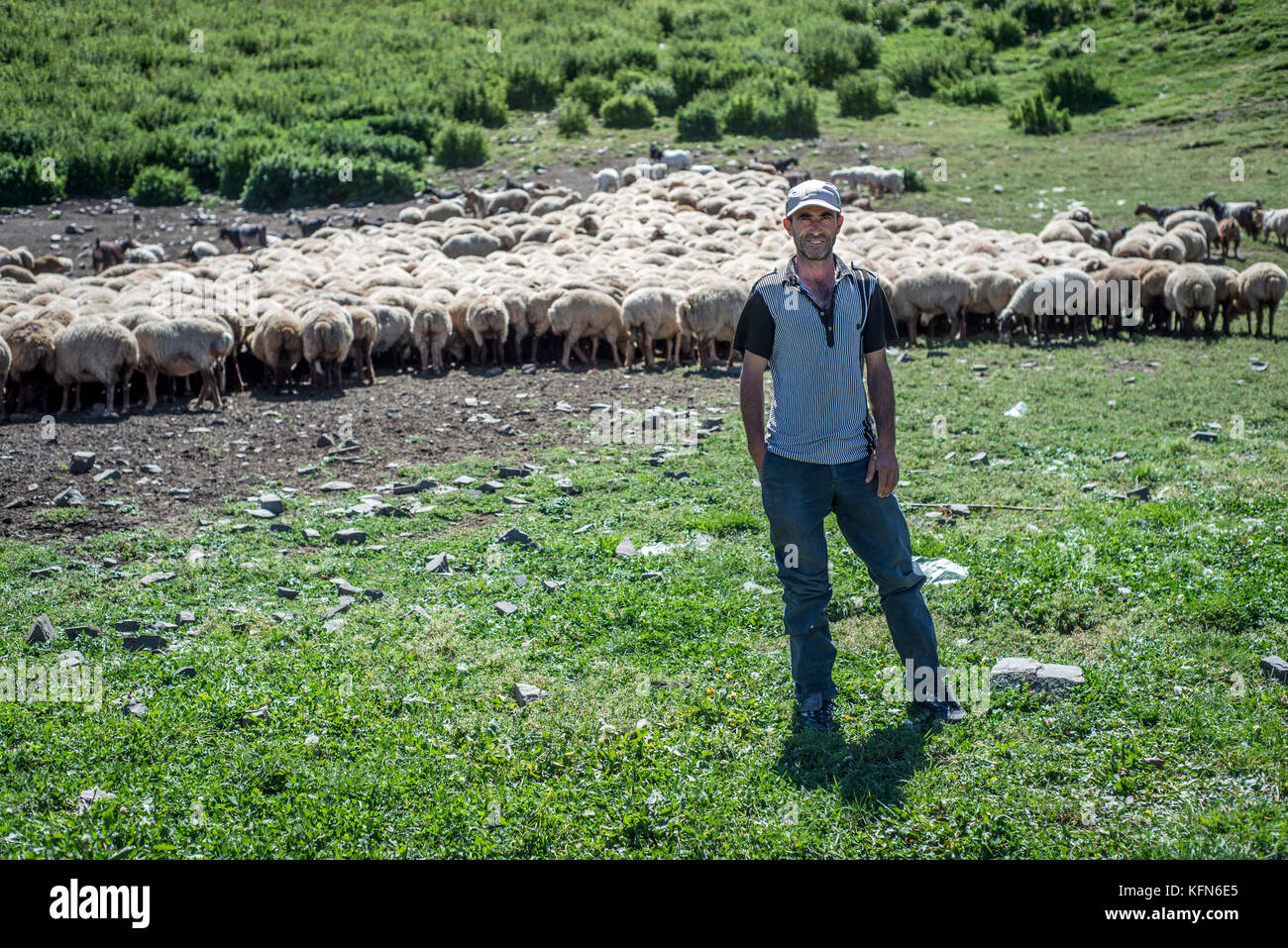 Counting sheeps hi-res stock photography and images - Alamy