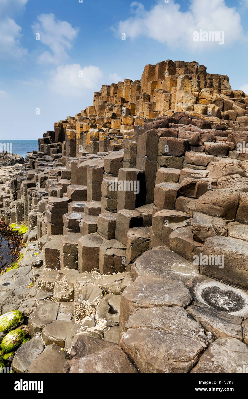 Basalt stones giant causeway northern hi-res stock photography and ...