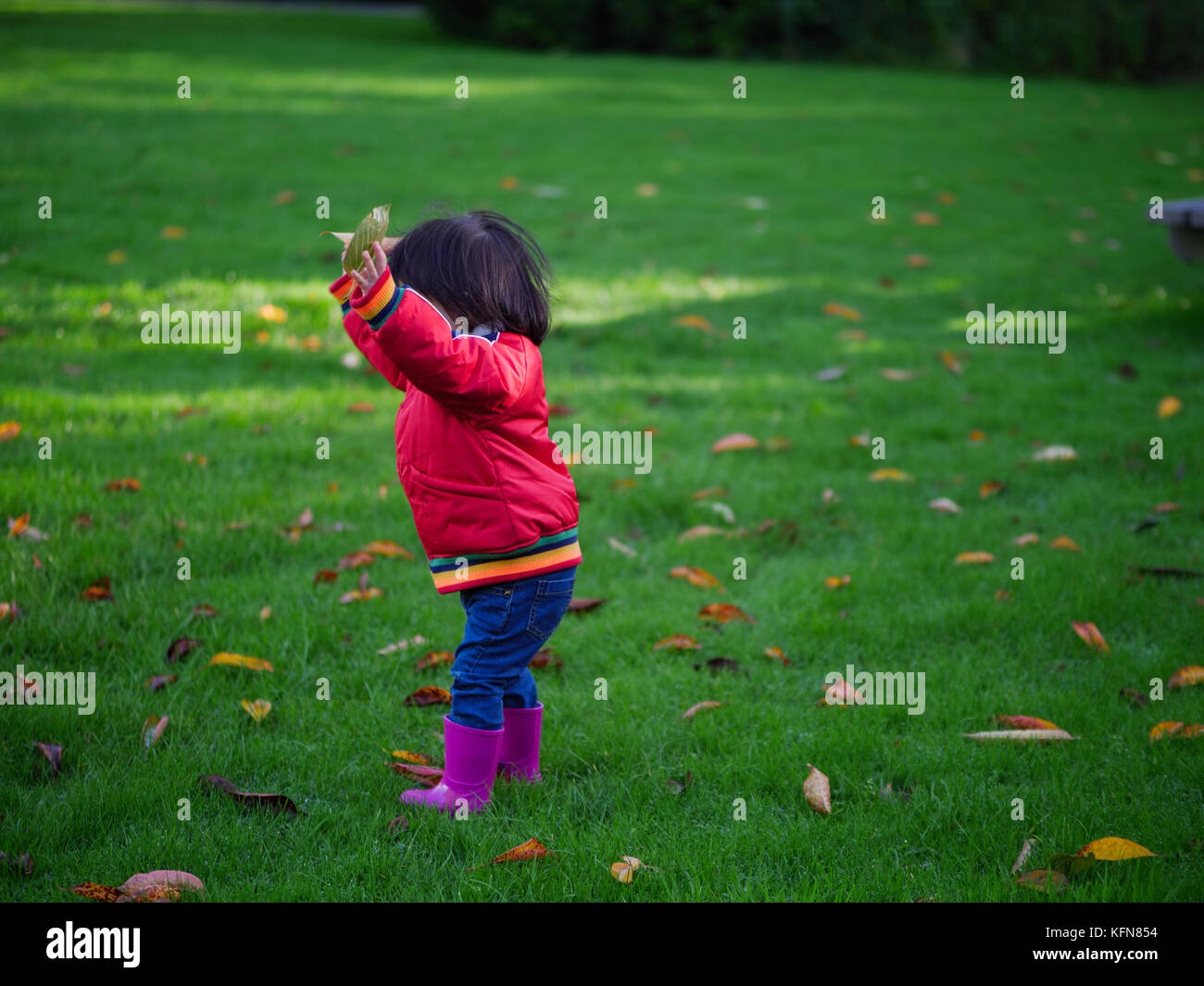 Baby girl playing at Autumn outdoor park Stock Photo - Alamy