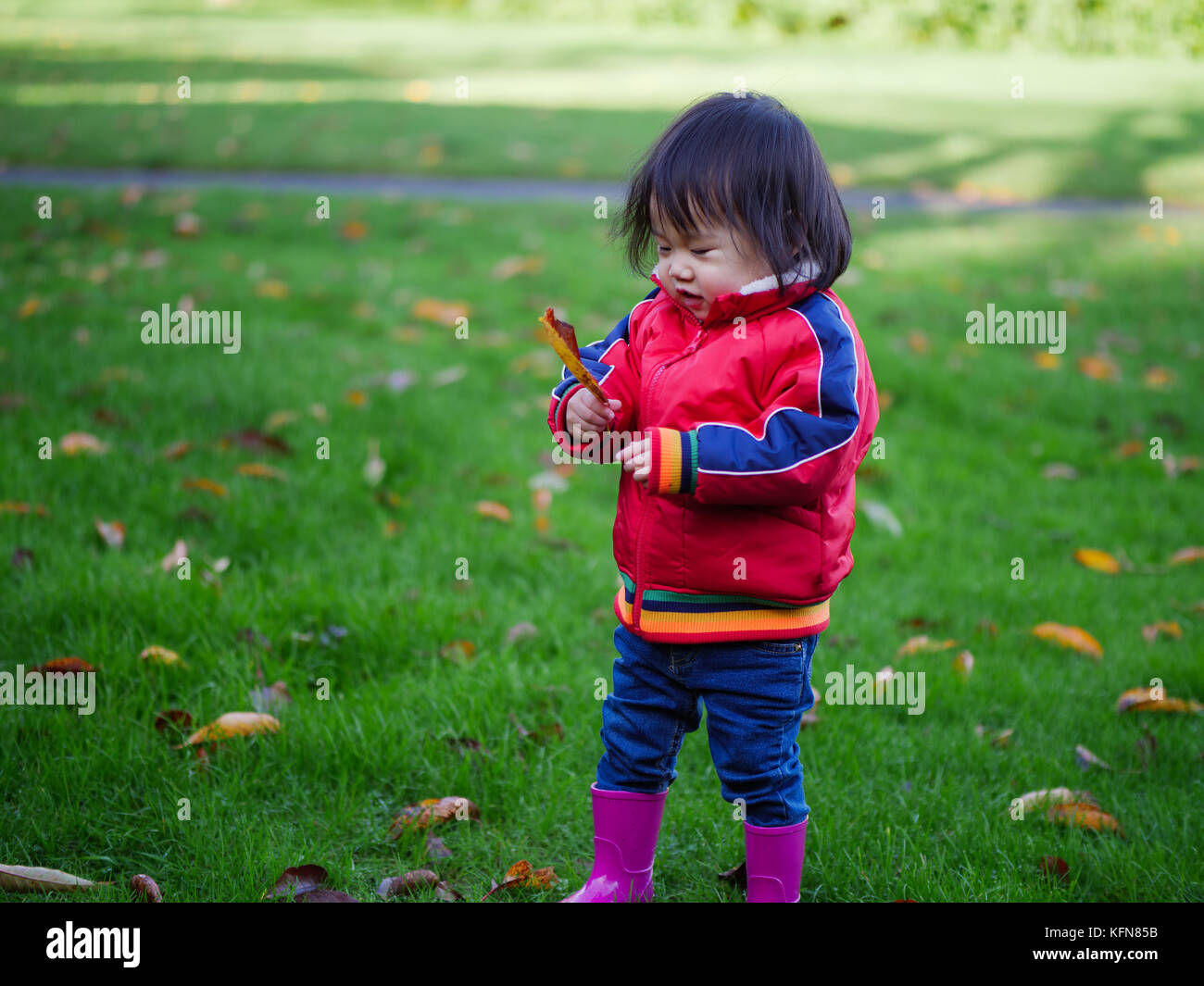 Baby girl playing at Autumn outdoor park Stock Photo - Alamy