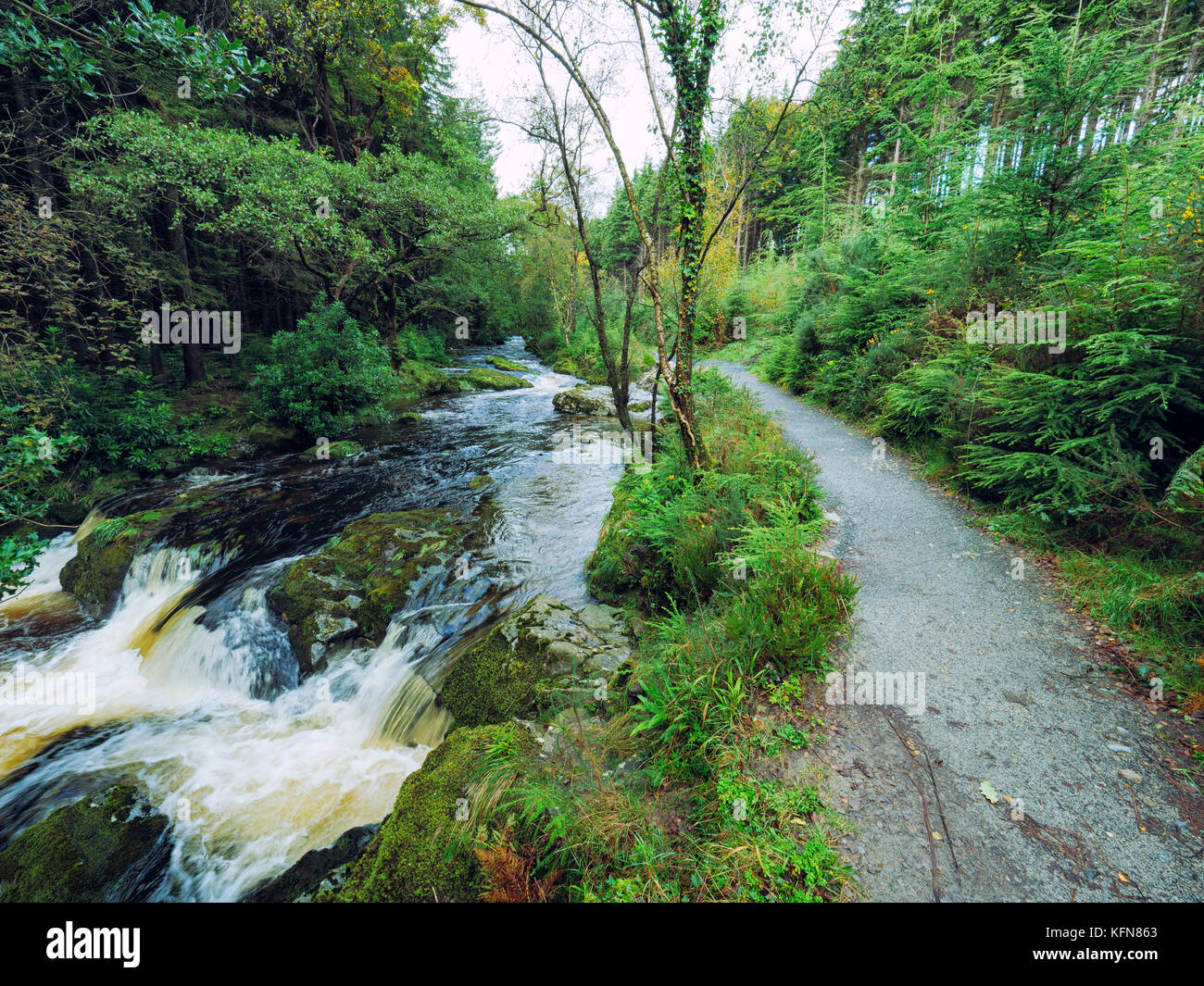 Early Autumn countryside morning,Northern Ireland Stock Photo - Alamy