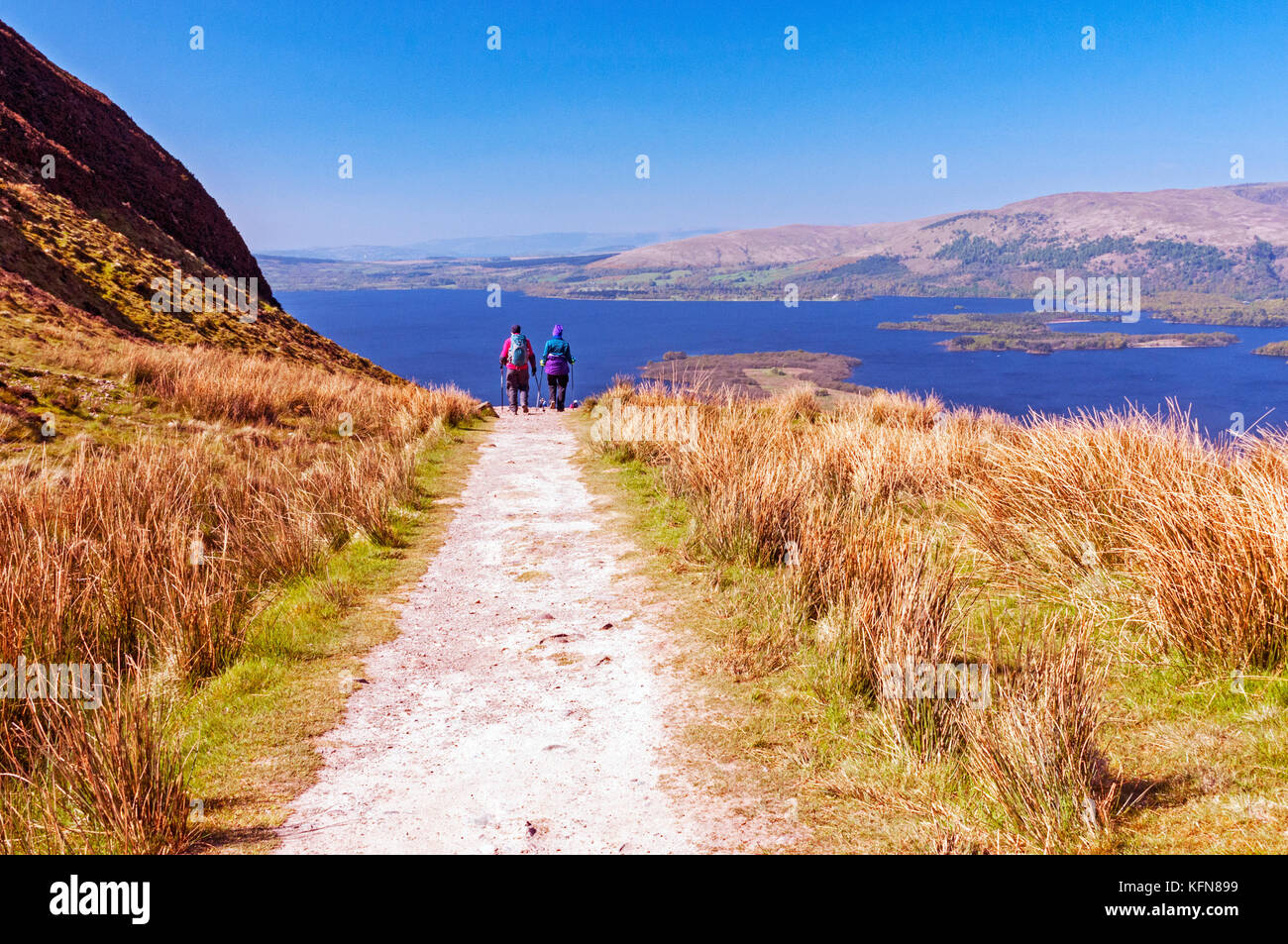 Conic hill loch lomond spring hi-res stock photography and images - Alamy