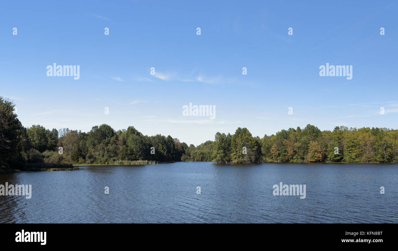 Trees on the shore of Stanfield Lake in early autumn at the Muscatatuck ...