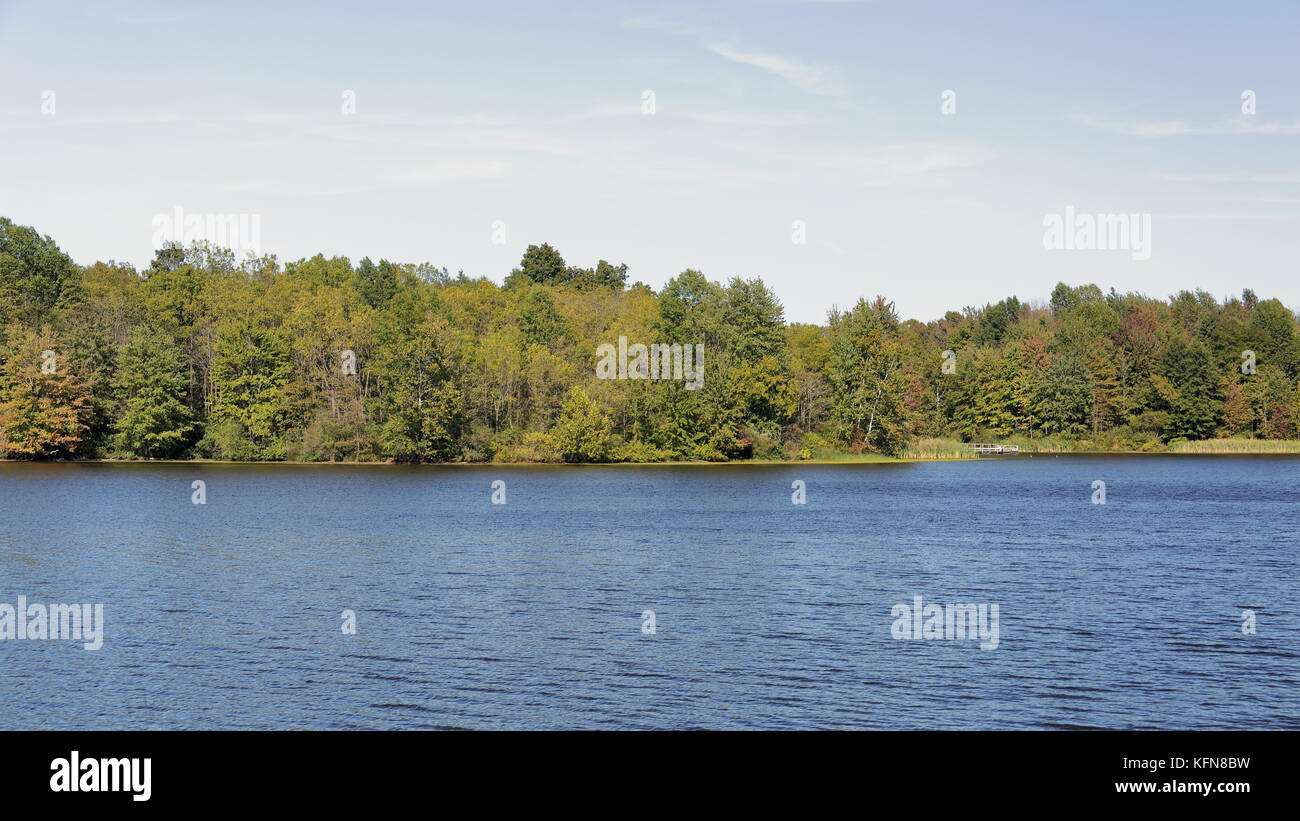 Trees on the shore of Stanfield Lake in early autumn at the Muscatatuck ...
