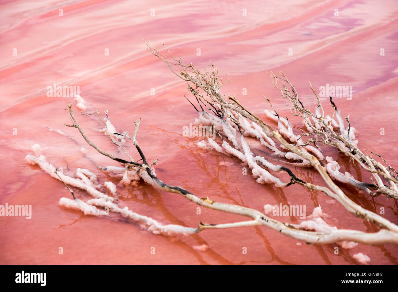 Pink Salt Lake in dimboola Victoria Stock Photo - Alamy