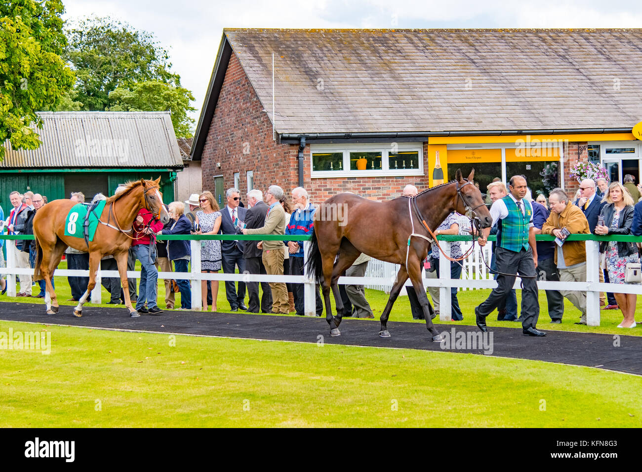 parade ring at thirsk horse racing yorkshire Stock Photo - Alamy