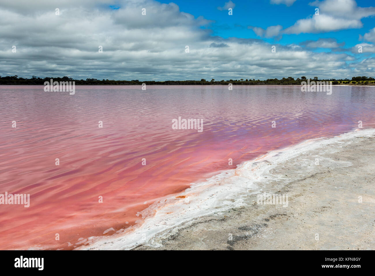 Pink Salt Lake in dimboola Victoria Stock Photo - Alamy
