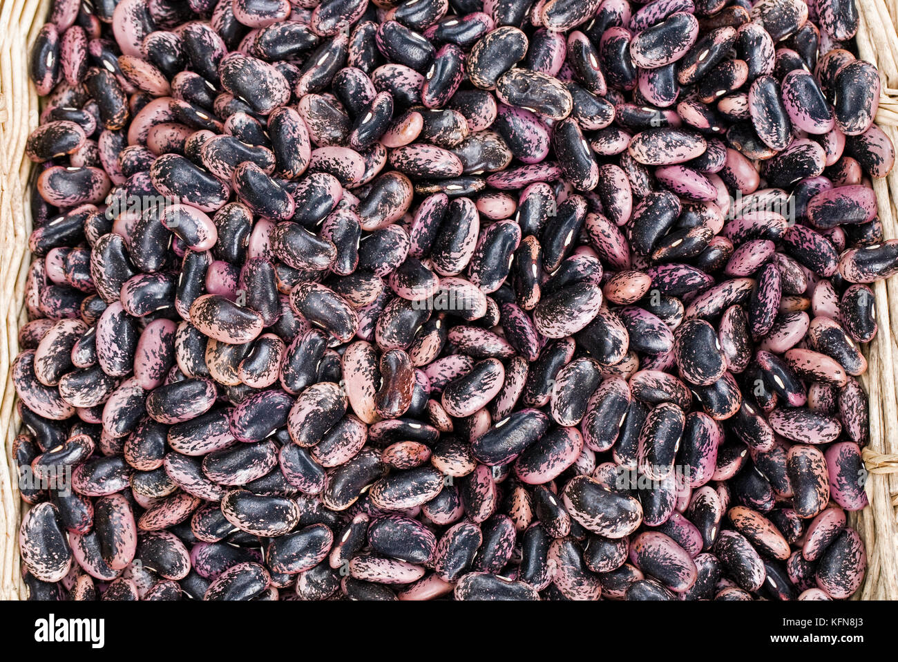 Phaseolus coccineus seed hi-res stock photography and images - Alamy