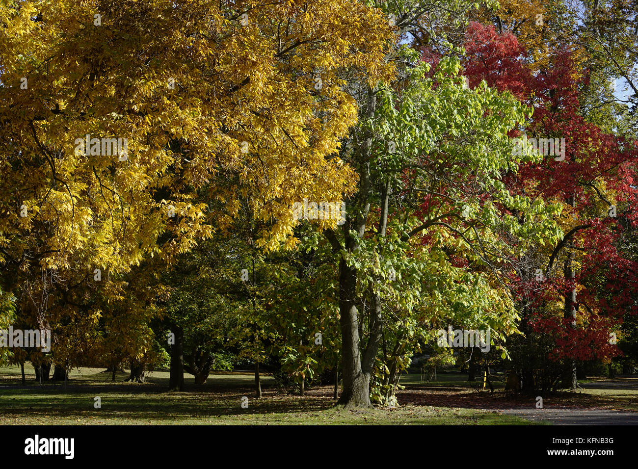 The autumn color in the garden of Glenmont Estate the home of Thomas ...