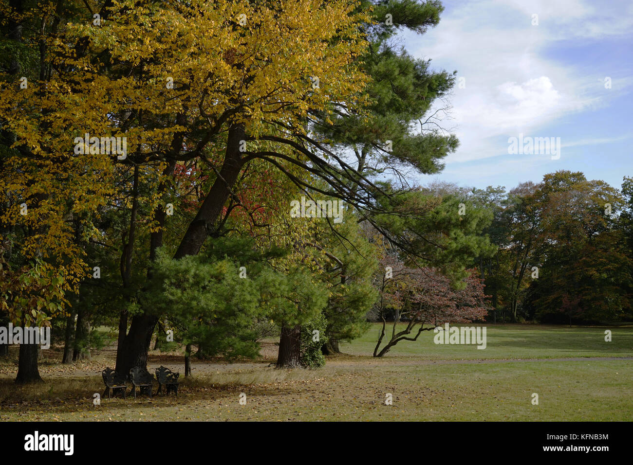 The autumn color in the garden of Glenmont Estate the home of Thomas ...
