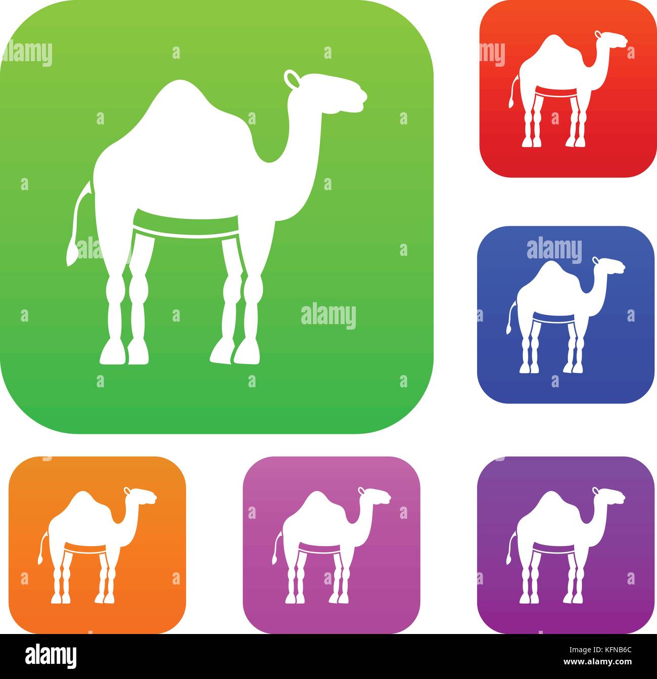 Camel set color collection Stock Vector Image & Art - Alamy