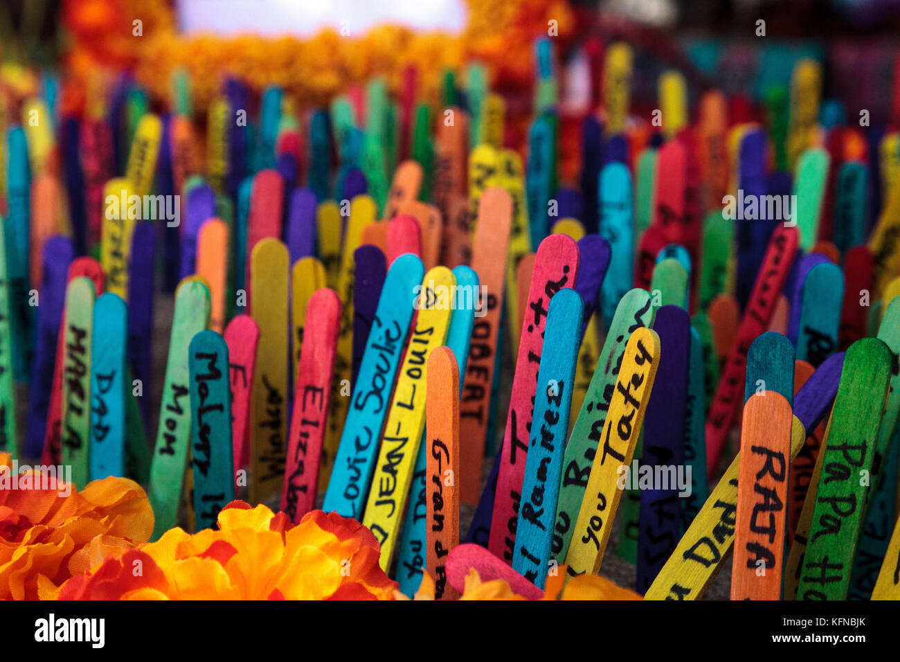 Colored popsicle stick background with names written on them to honor ...