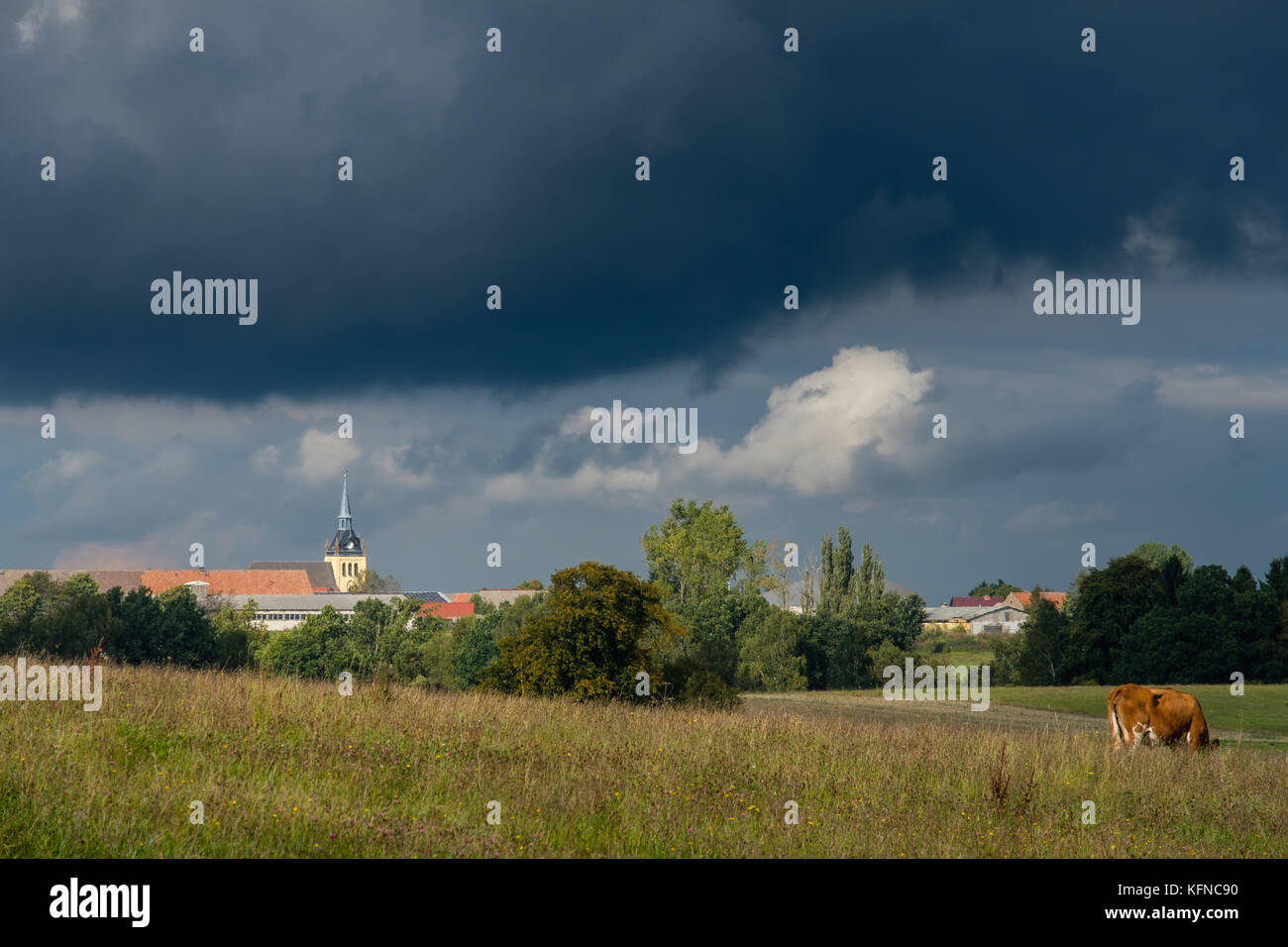 Blick auf Hayn im Harz Stock Photo - Alamy