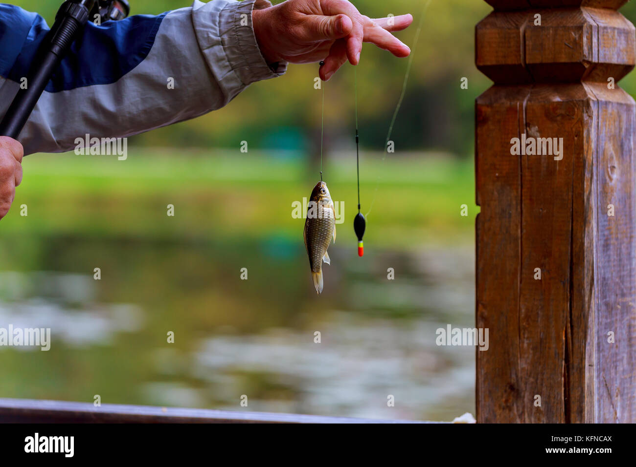 fishing rod lake fisherman men summer lure sunset water outdoor ...