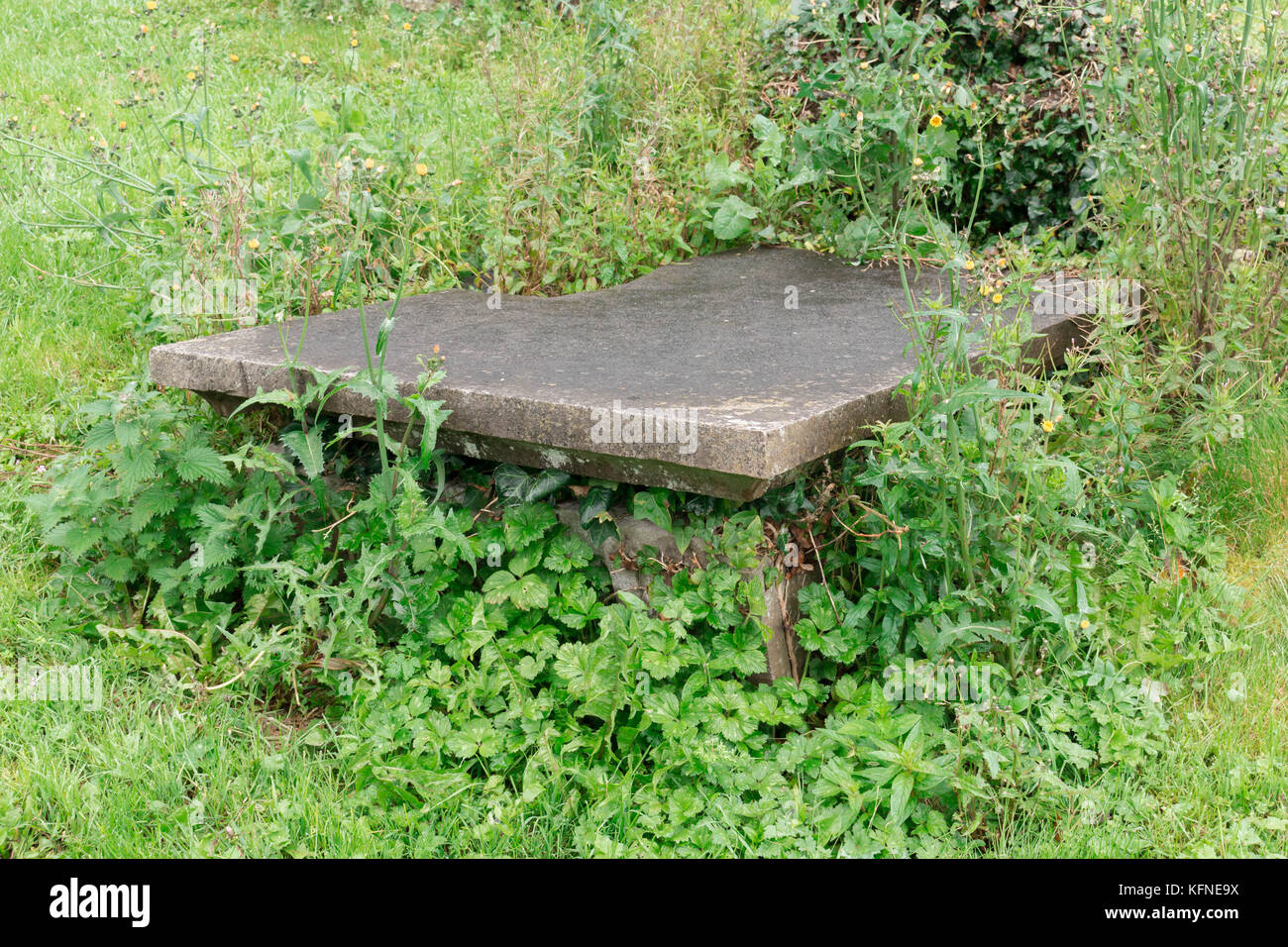 A stone grave covered in growing plants Stock Photo - Alamy