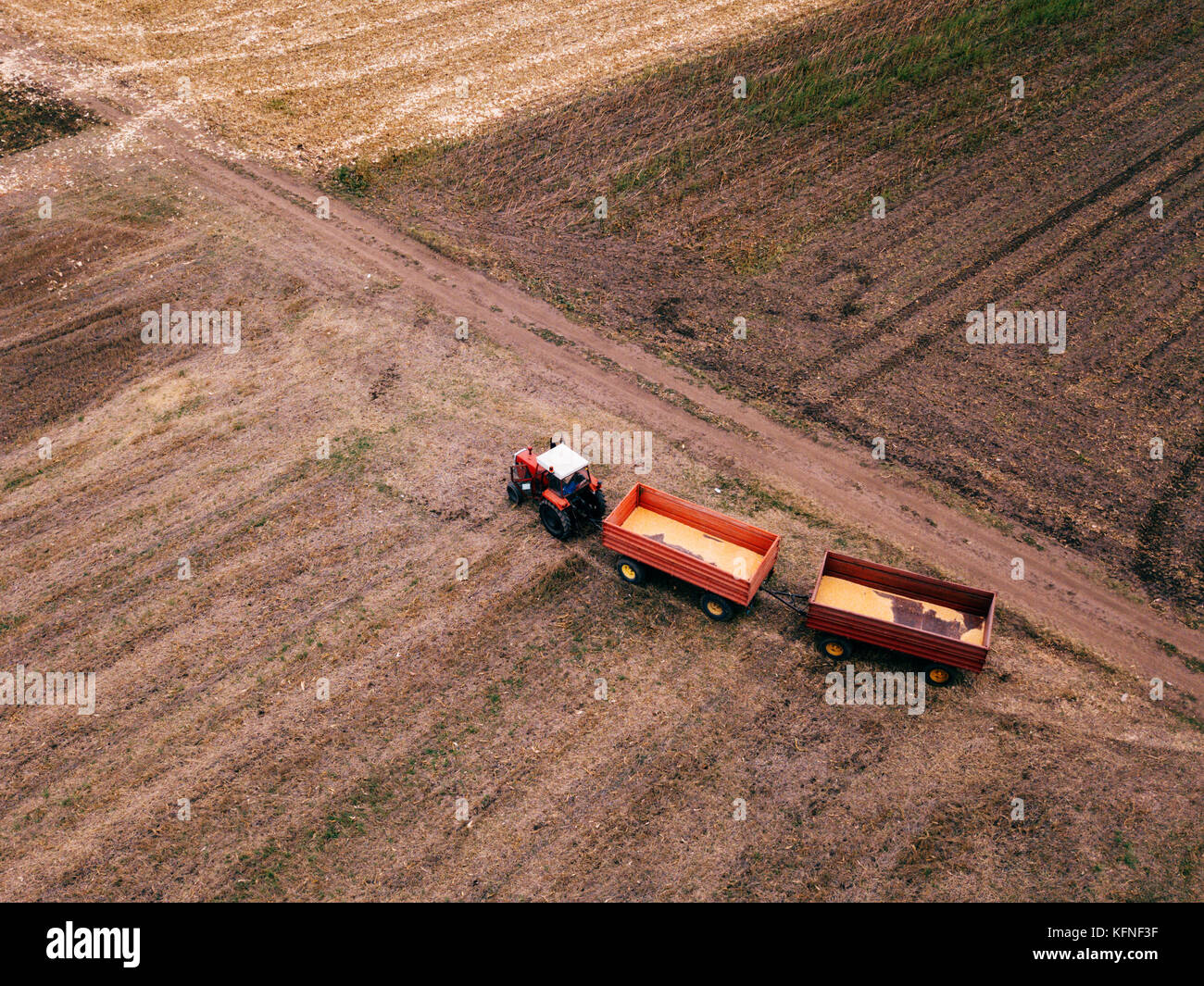 Aerial view of agricultural tractor with trailers in cultivated corn ...
