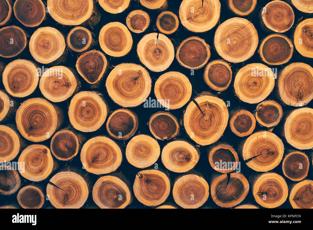 Stacked wood logs as texture, unique natural background Stock Photo - Alamy