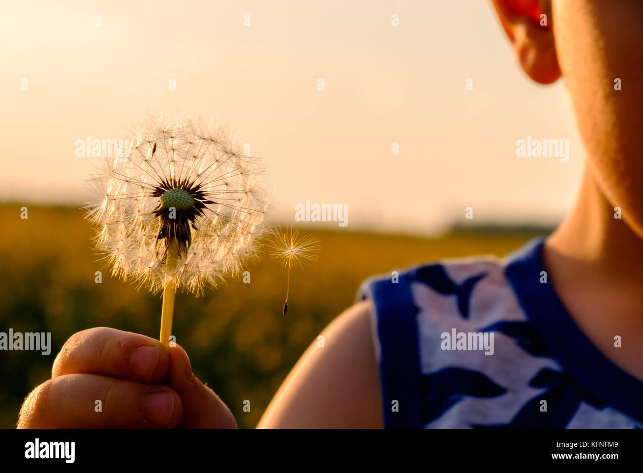 Sonne kind hi-res stock photography and images - Alamy