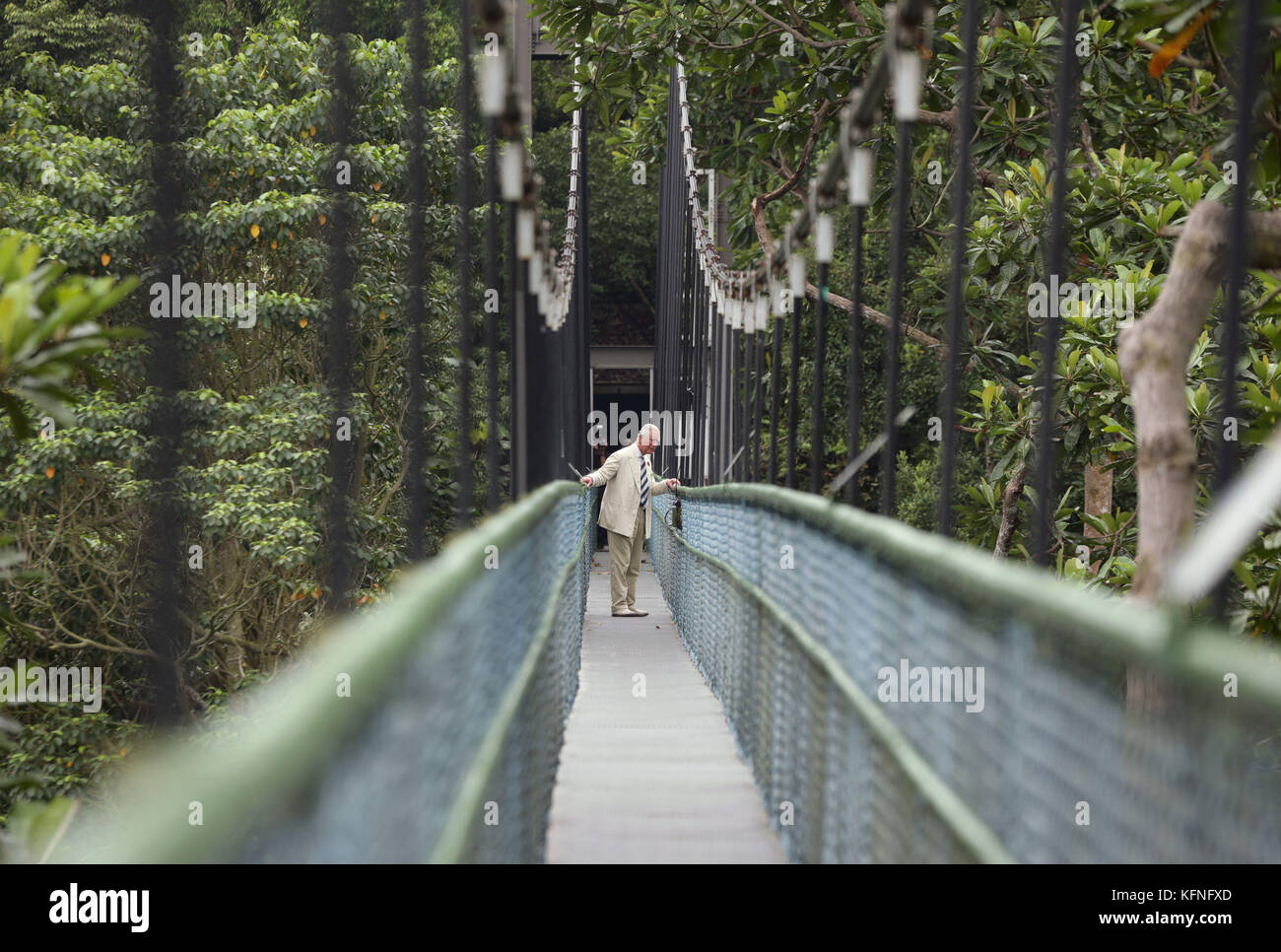 Suspension bridge macritchie reservoir park hi-res stock photography ...