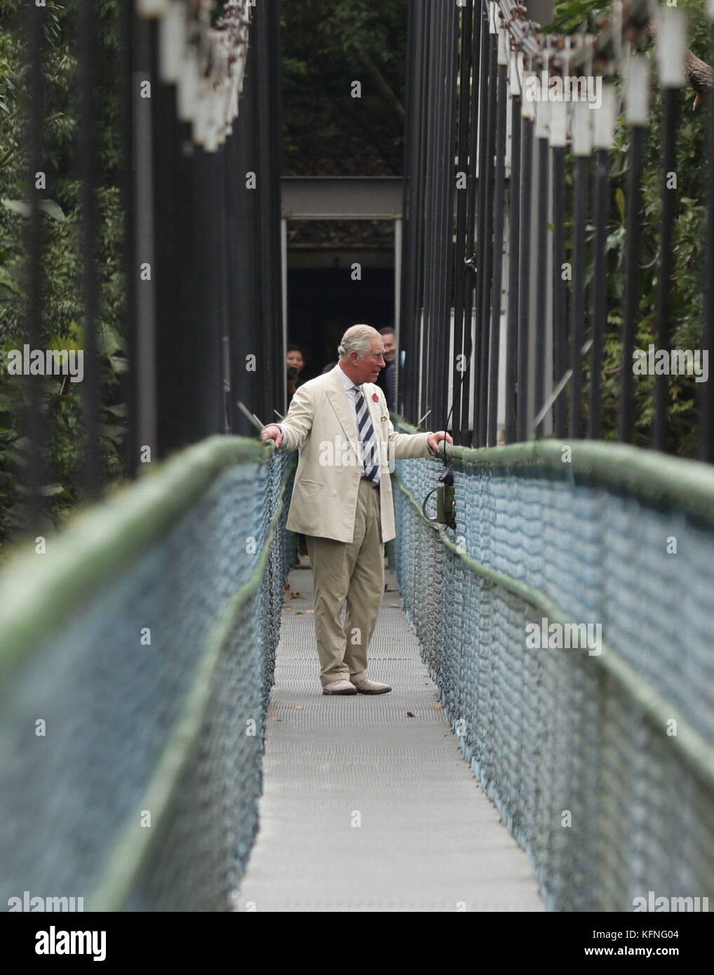 Suspension bridge macritchie reservoir park hi-res stock photography ...