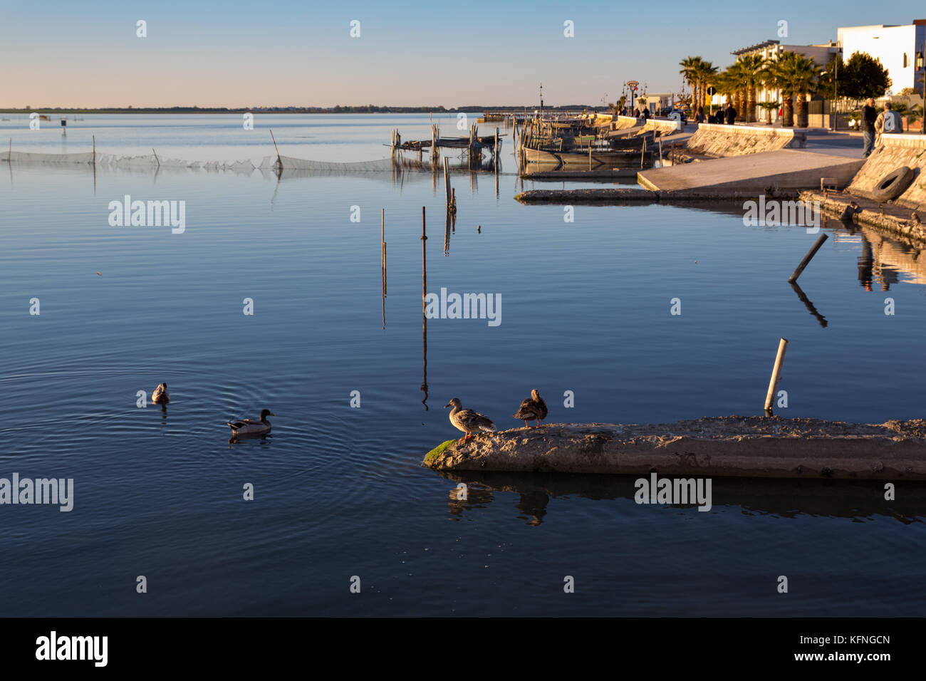 Lesina (Puglia, Italy) - View of the lake and boats in the sunset Stock ...