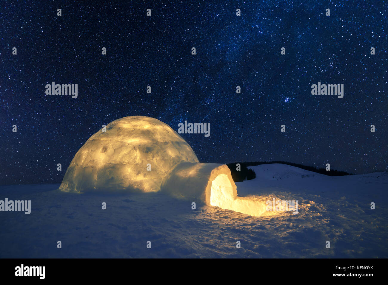 Wintry scene with snowy trees Stock Photo - Alamy