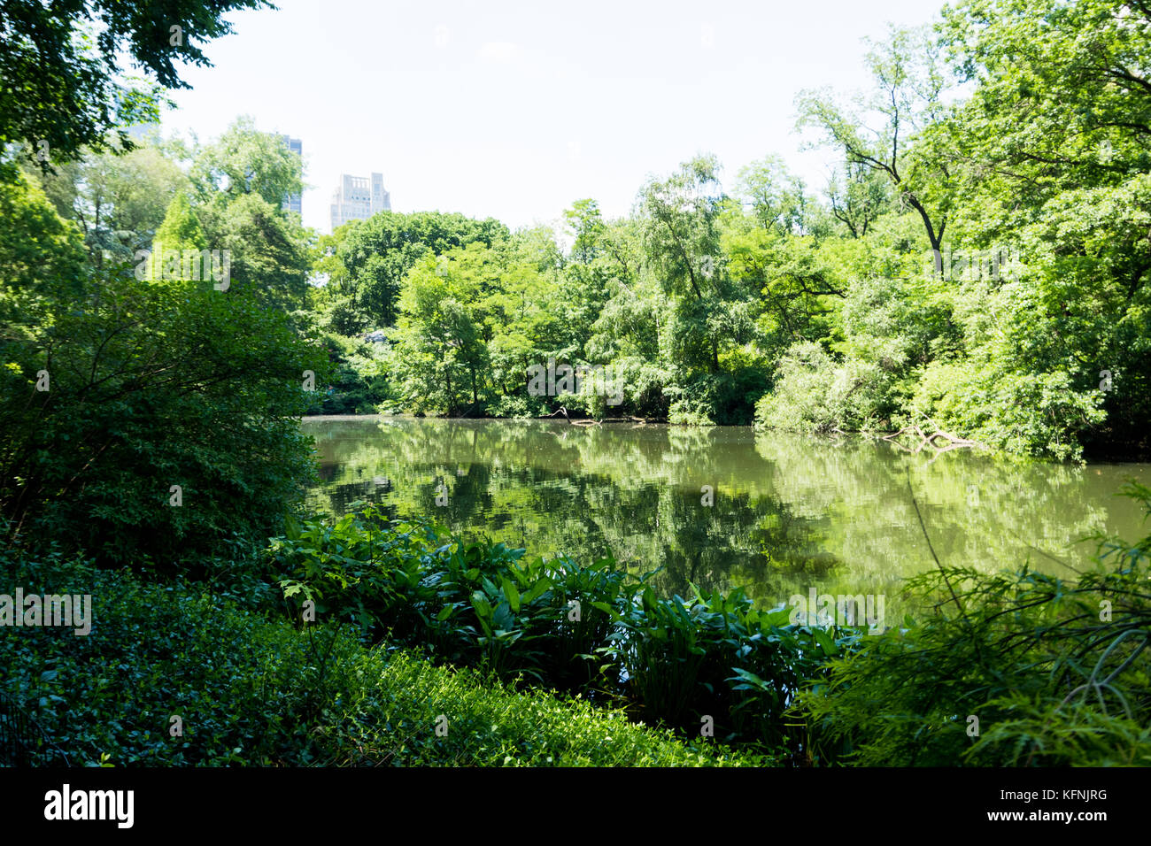 Between two shores hi-res stock photography and images - Alamy