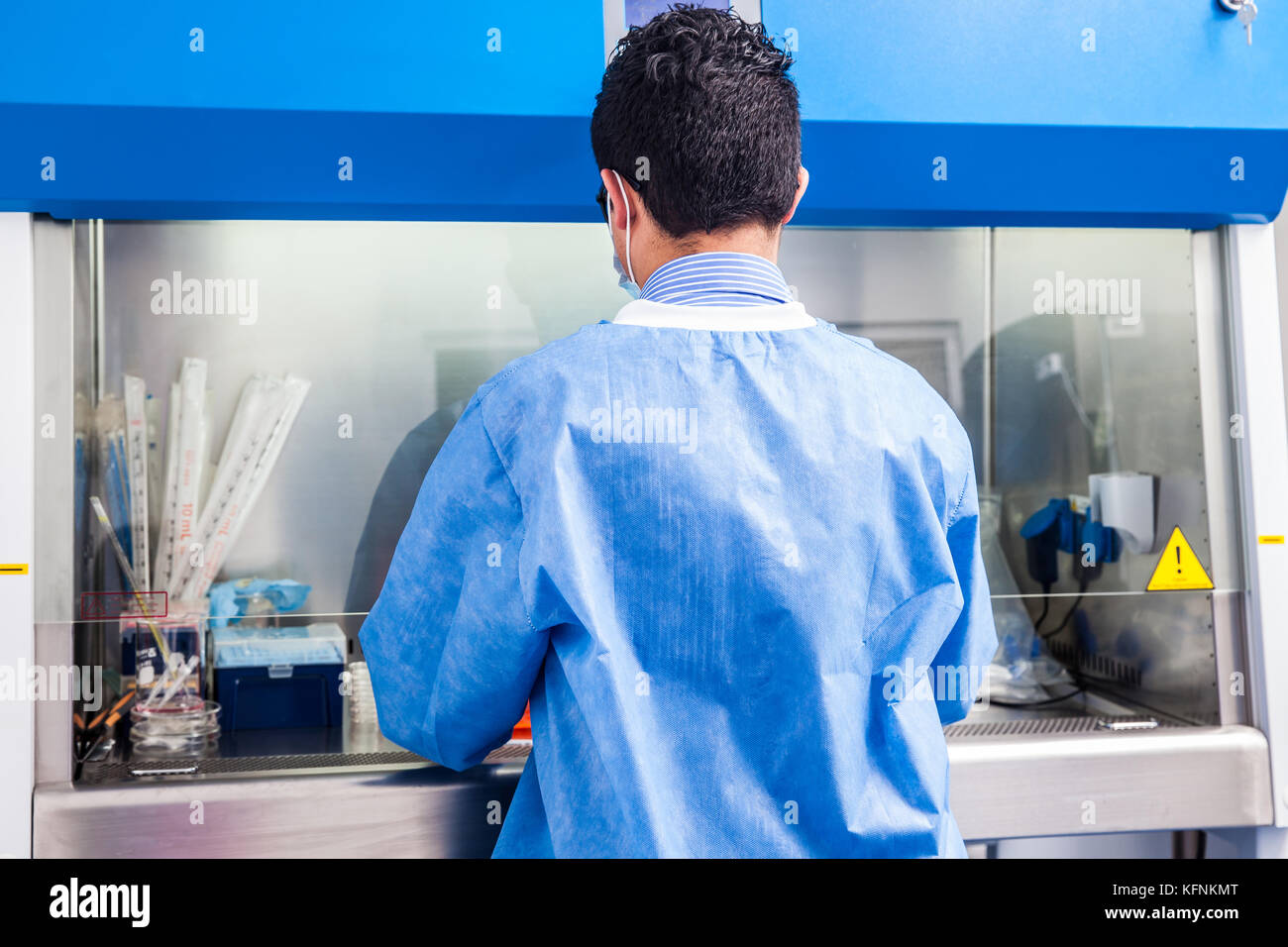 Young scientist working in a safety laminar air flow cabinet at ...