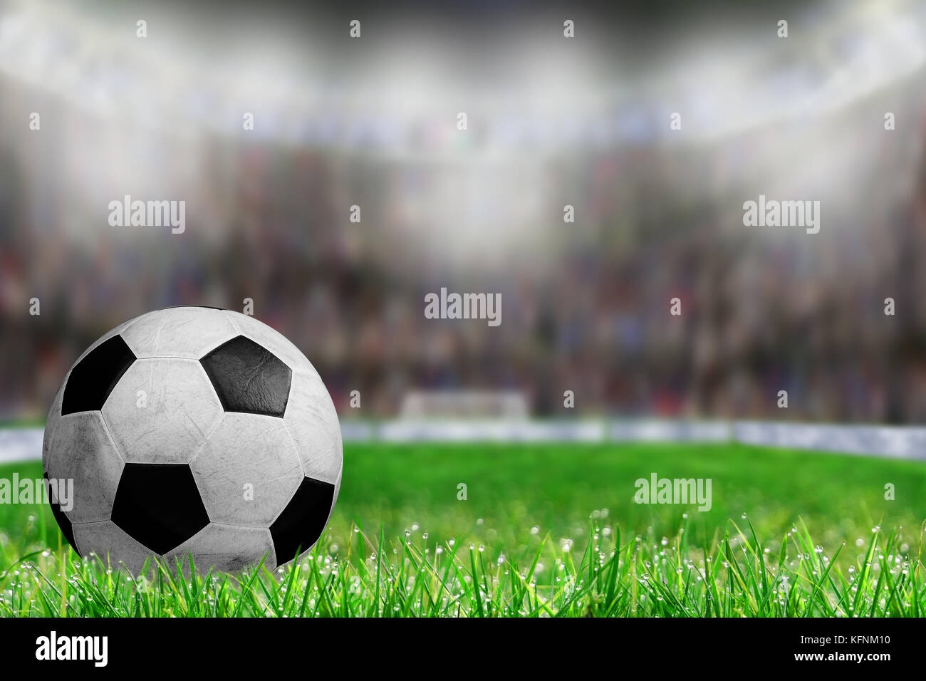 Cool Soccer Field Pictures