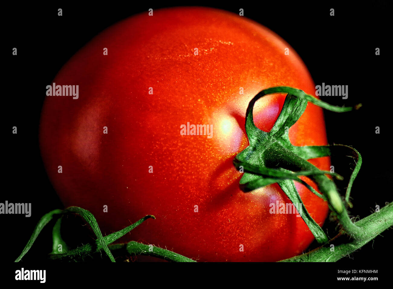 Tomate vegetal hi-res stock photography and images - Alamy
