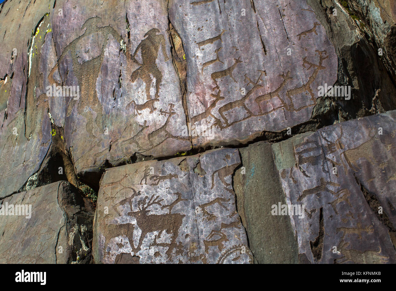 Petroglyphs. Ancient rock paintings in the Altai Mountains, Russia ...