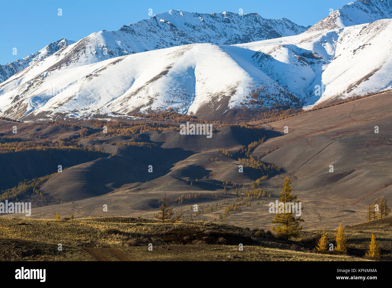 Mountain peaks of altai with glaciers hi-res stock photography and ...