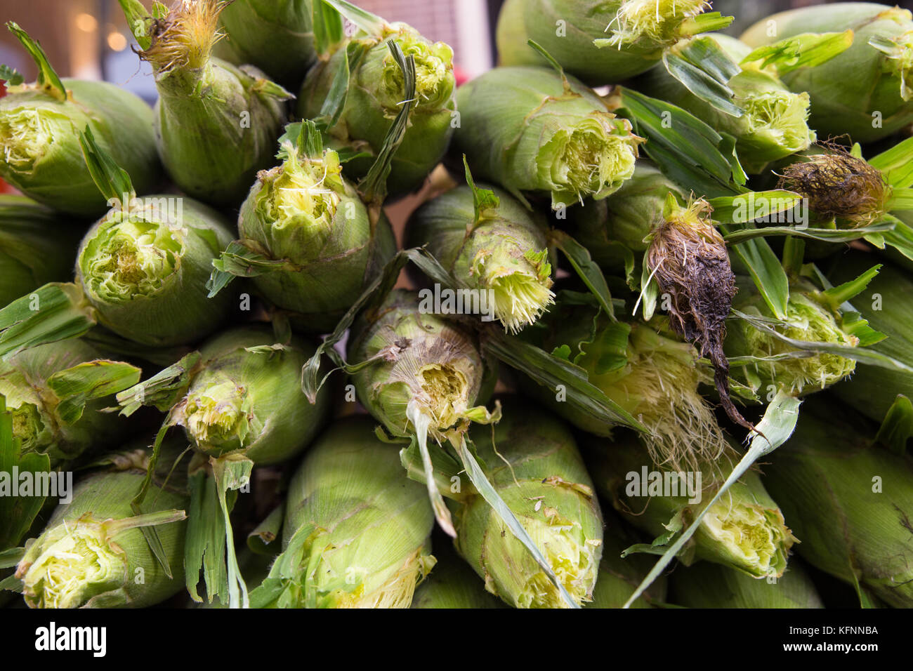 Corn husks pile hi-res stock photography and images - Alamy