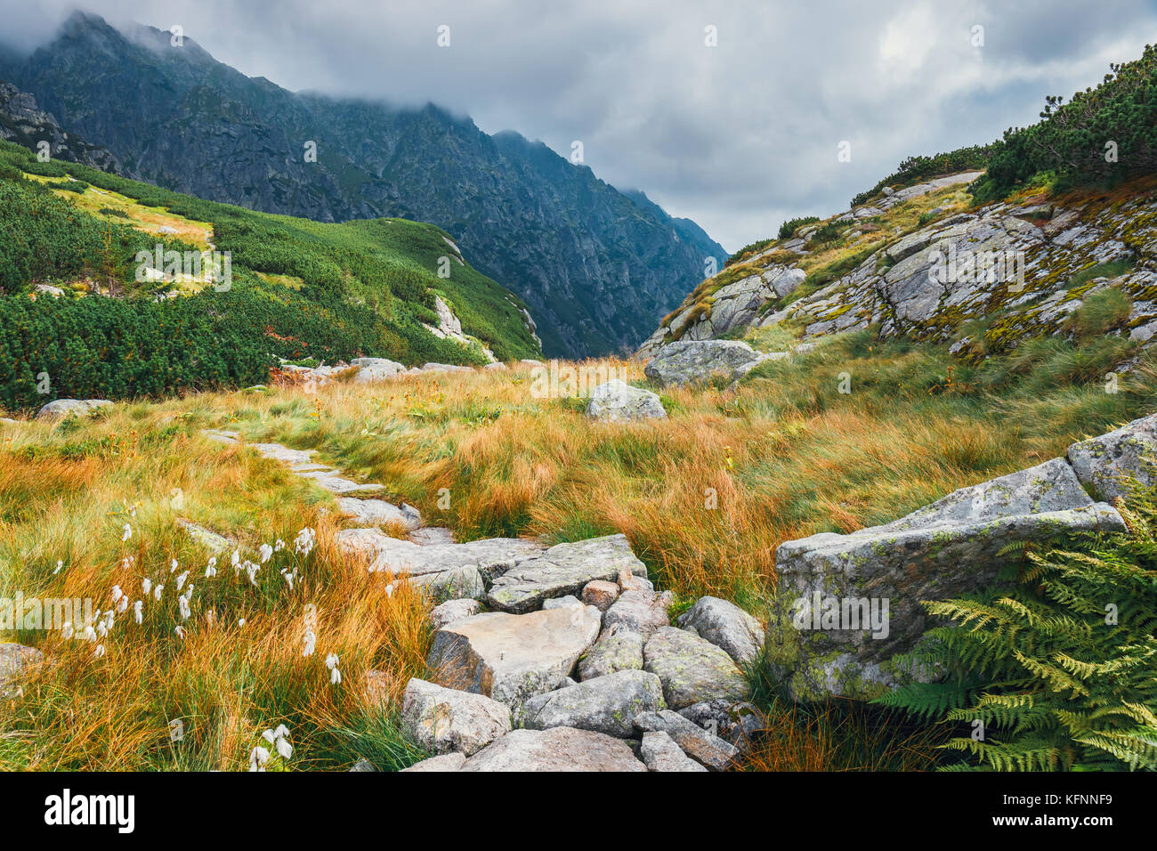 Aerial view of Five lakes valley in High Tatra Mountains, Poland Stock ...