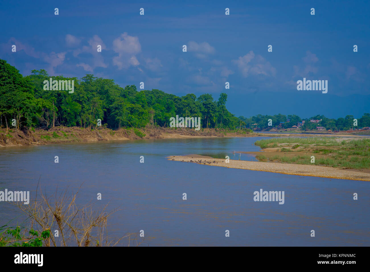 Beautiful view of Chitwan National Park with a river, mainly covered by ...